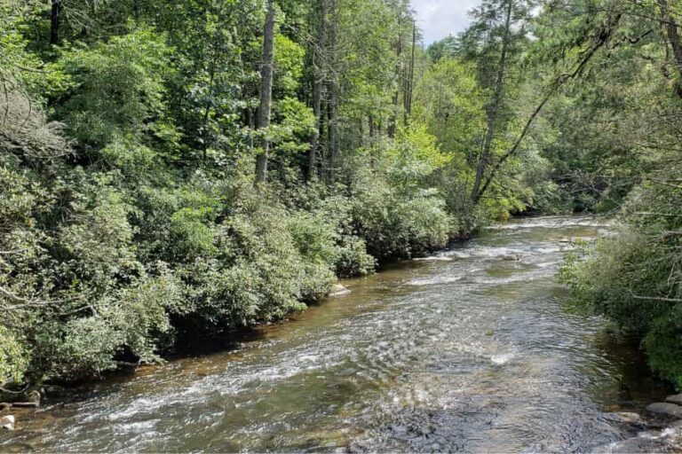 12 Things to do in Brevard, NC - Carolina Day Trip Tips